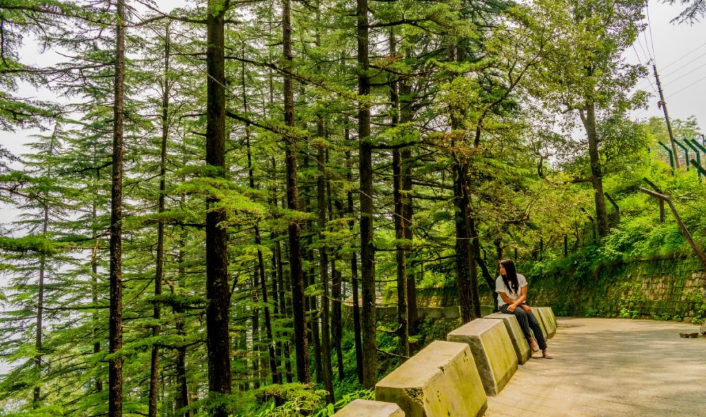 Ramada Mussoorie – Hotel by Wyndham